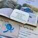Sea Turtles Mini Science Unit, Sea Turtles Unit, Sea Turtles - Etsy