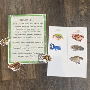 Frogs & Toads Mini Unit - Etsy