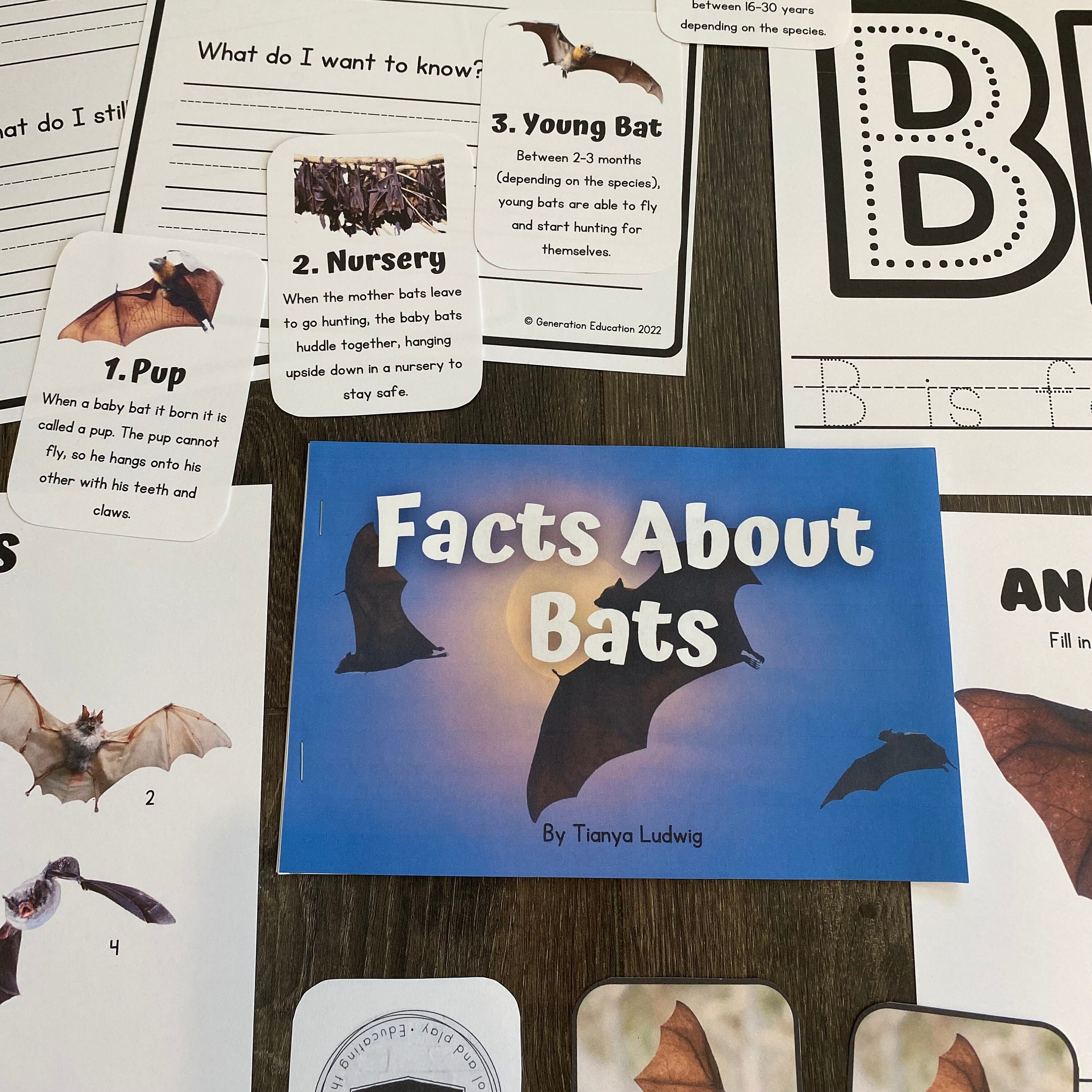 Bats Mini Science Unit - Etsy