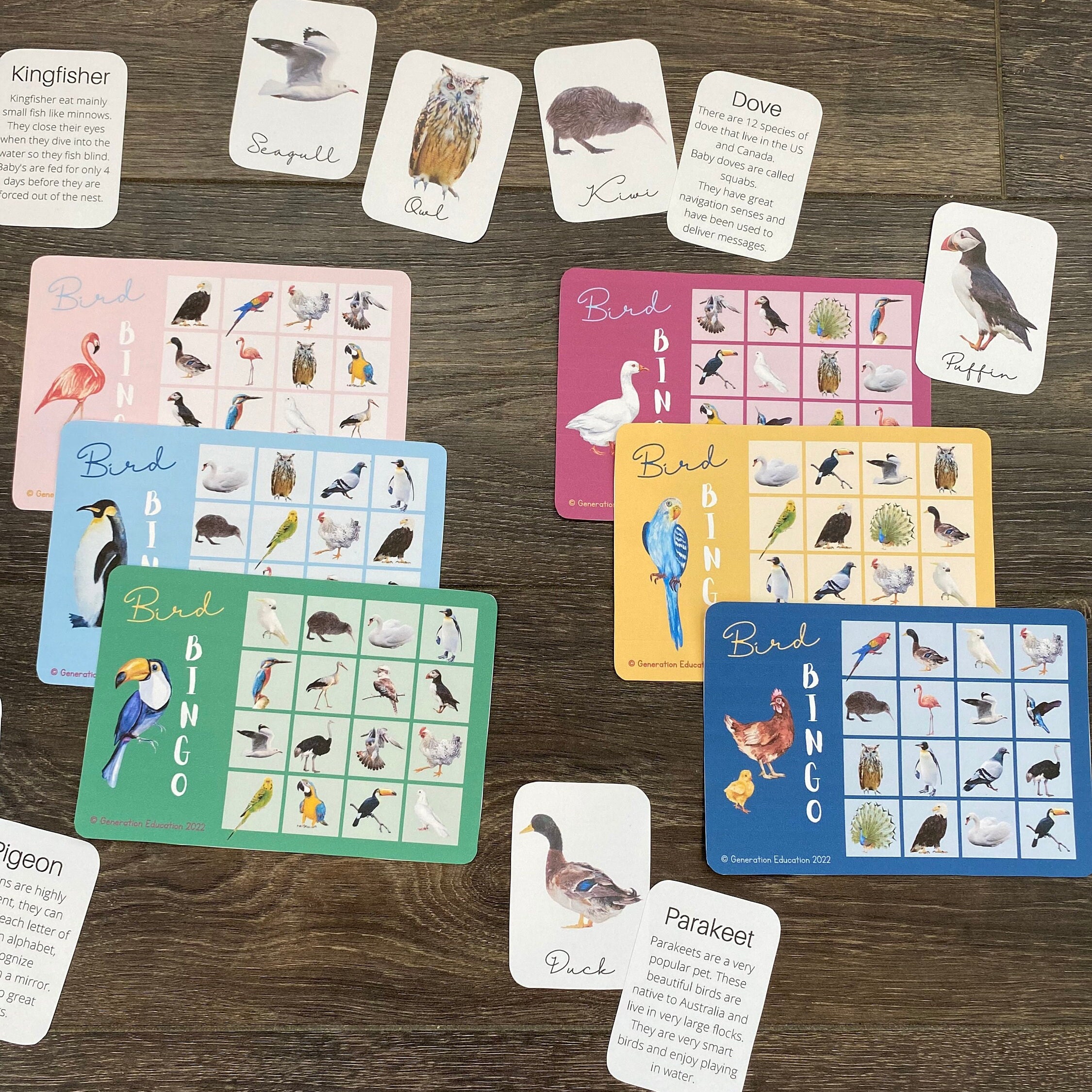 Birds Mini Science Unit - Etsy