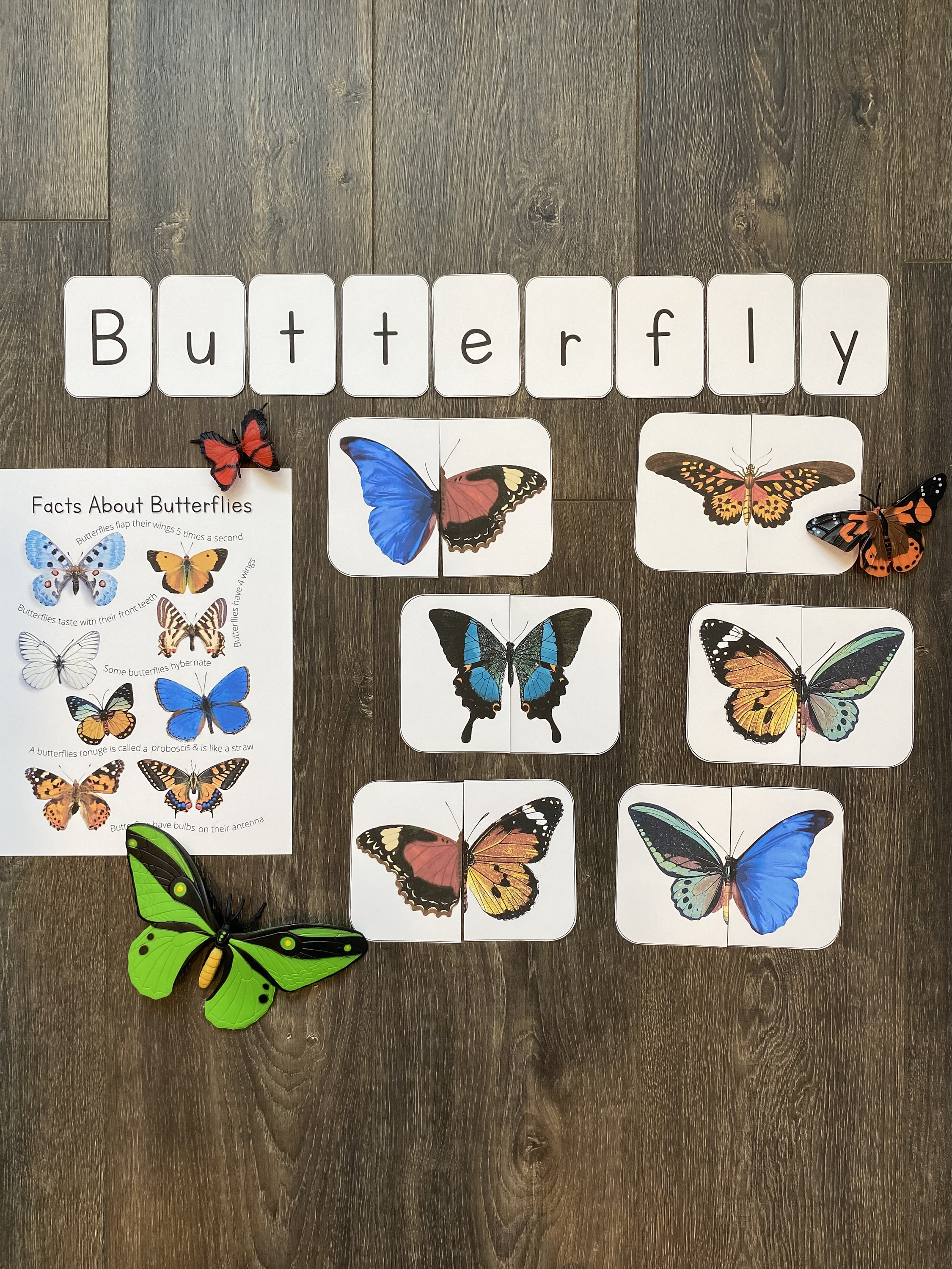 Butterfly Unit - Etsy