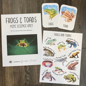 Frogs & Toads Mini Unit - Etsy