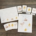 Birds Mini Science Unit - Etsy