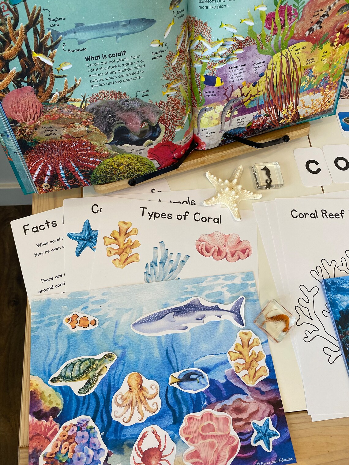 Coral Reefs Mini Science Unit, Coral Reef Unit - Etsy