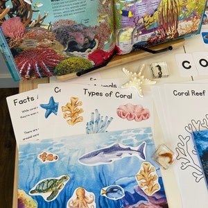 Coral Reefs Mini Science Unit, Coral Reef Unit - Etsy