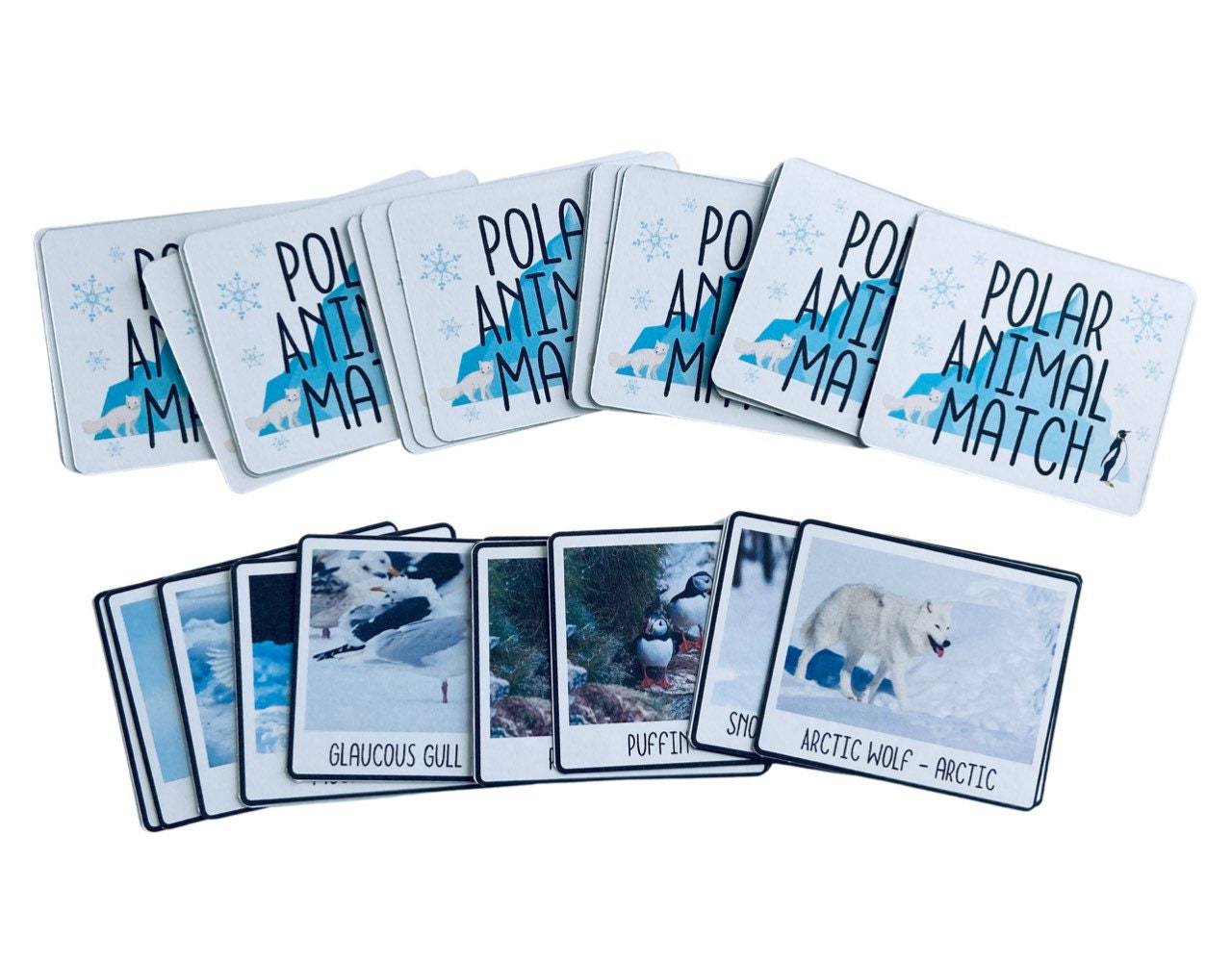 Printable Polar Animals Science Unit - Etsy