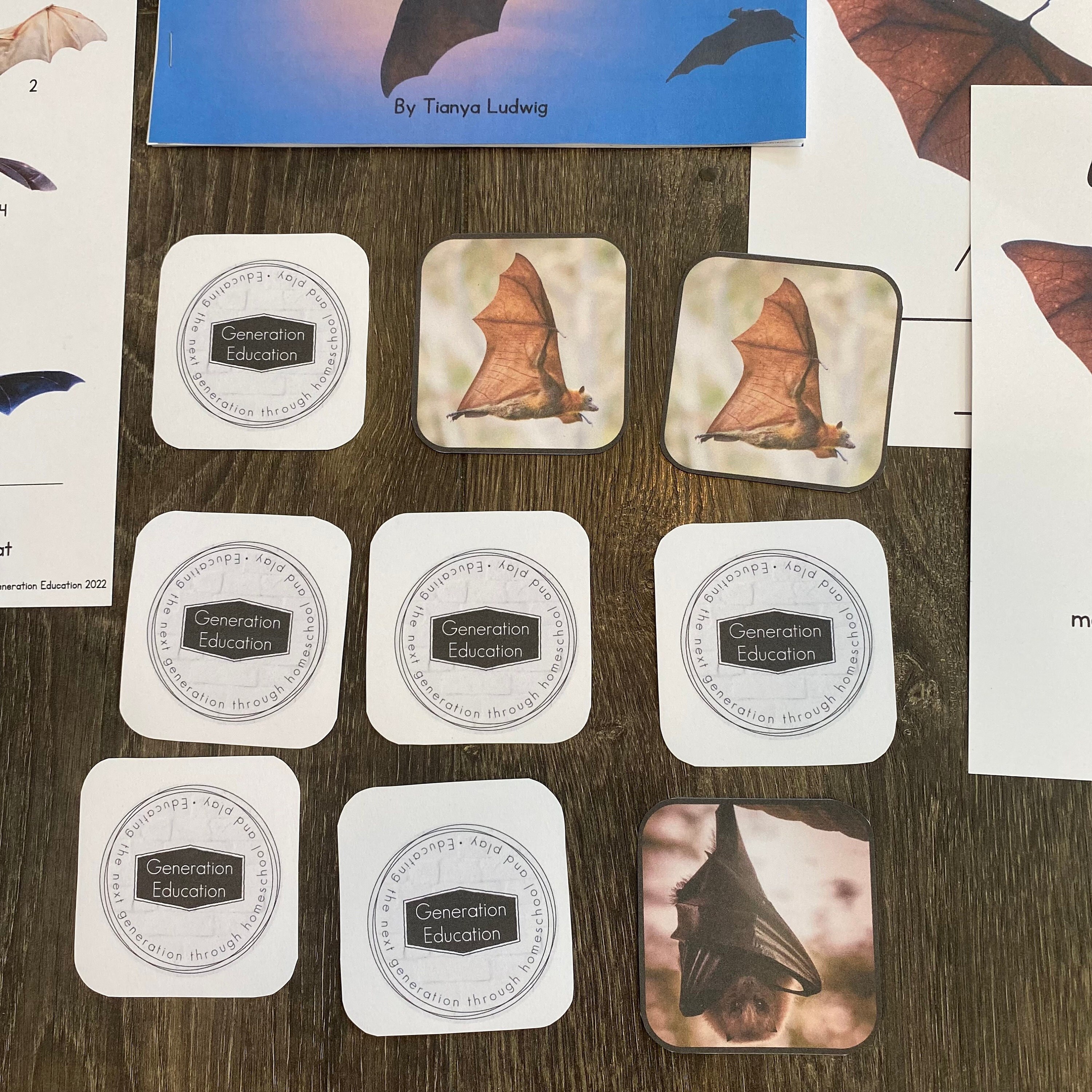 Bats Mini Science Unit - Etsy