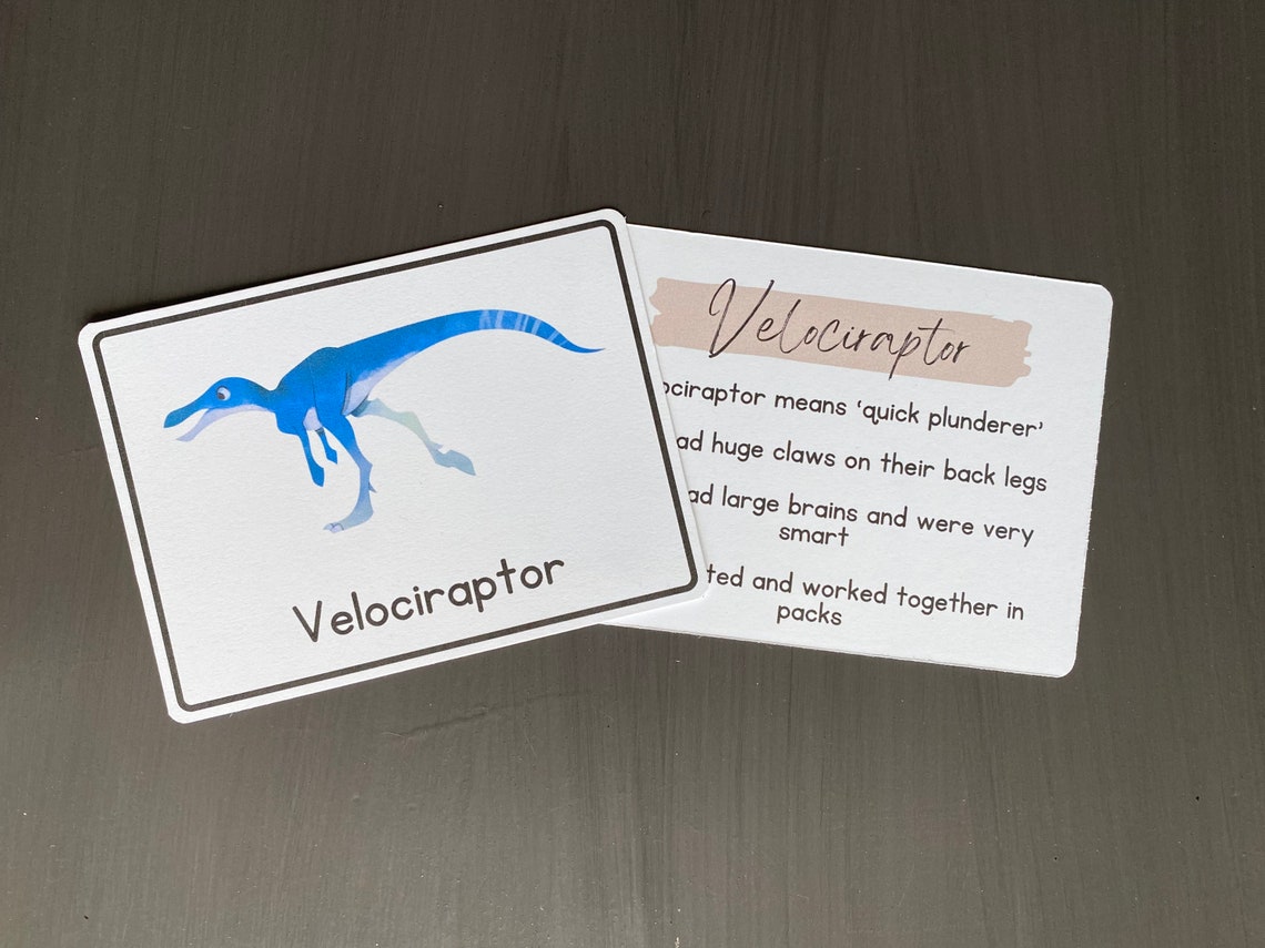 Mini Dinosaur Science Unit - Etsy