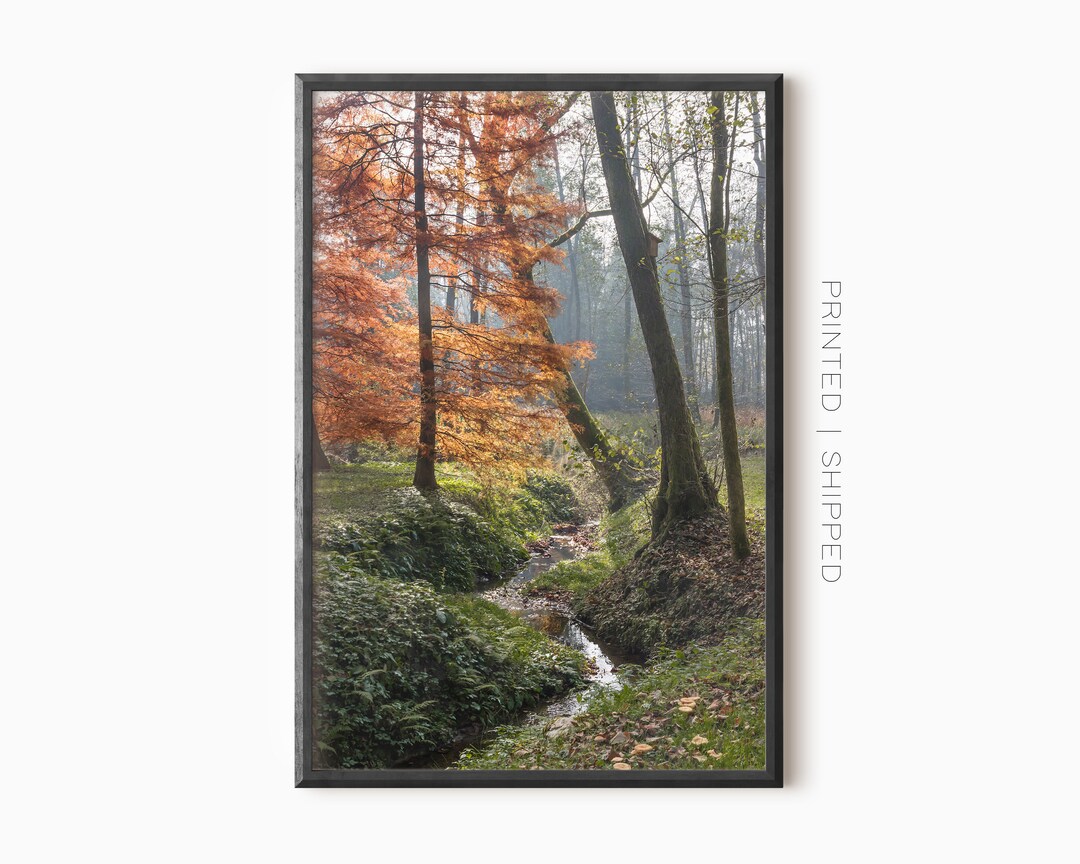 Autumn Forest Poster | Forest Landscape Wall Art | One Piece Poster - Etsy