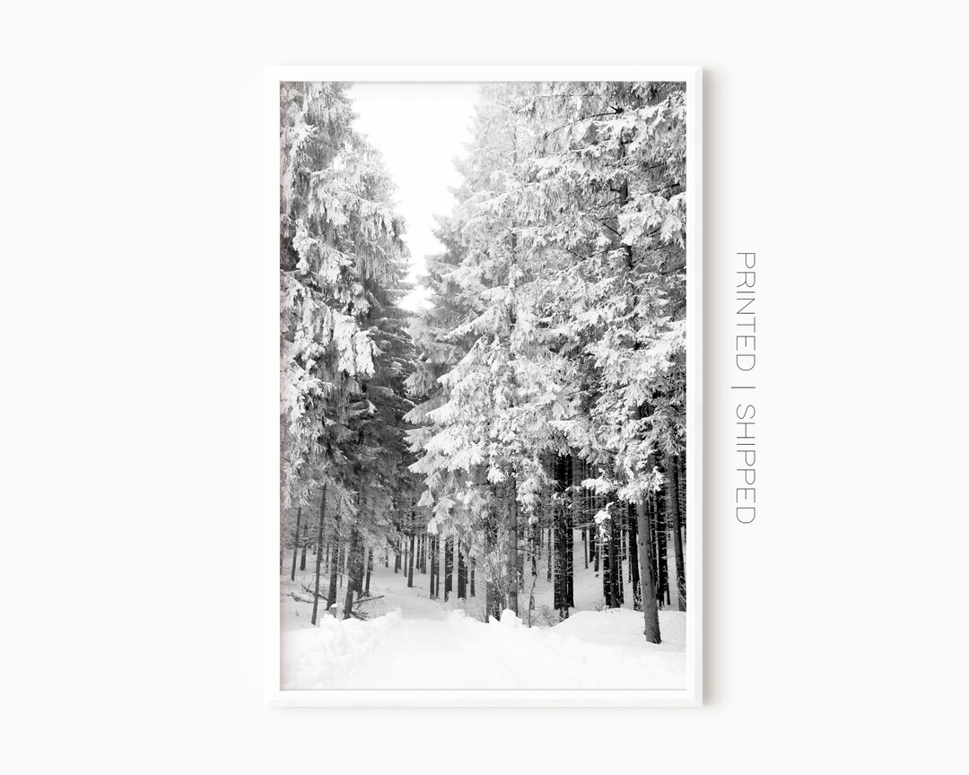 Snowy Forest Poster | Winter Wall Art | Printed Art Print - Etsy