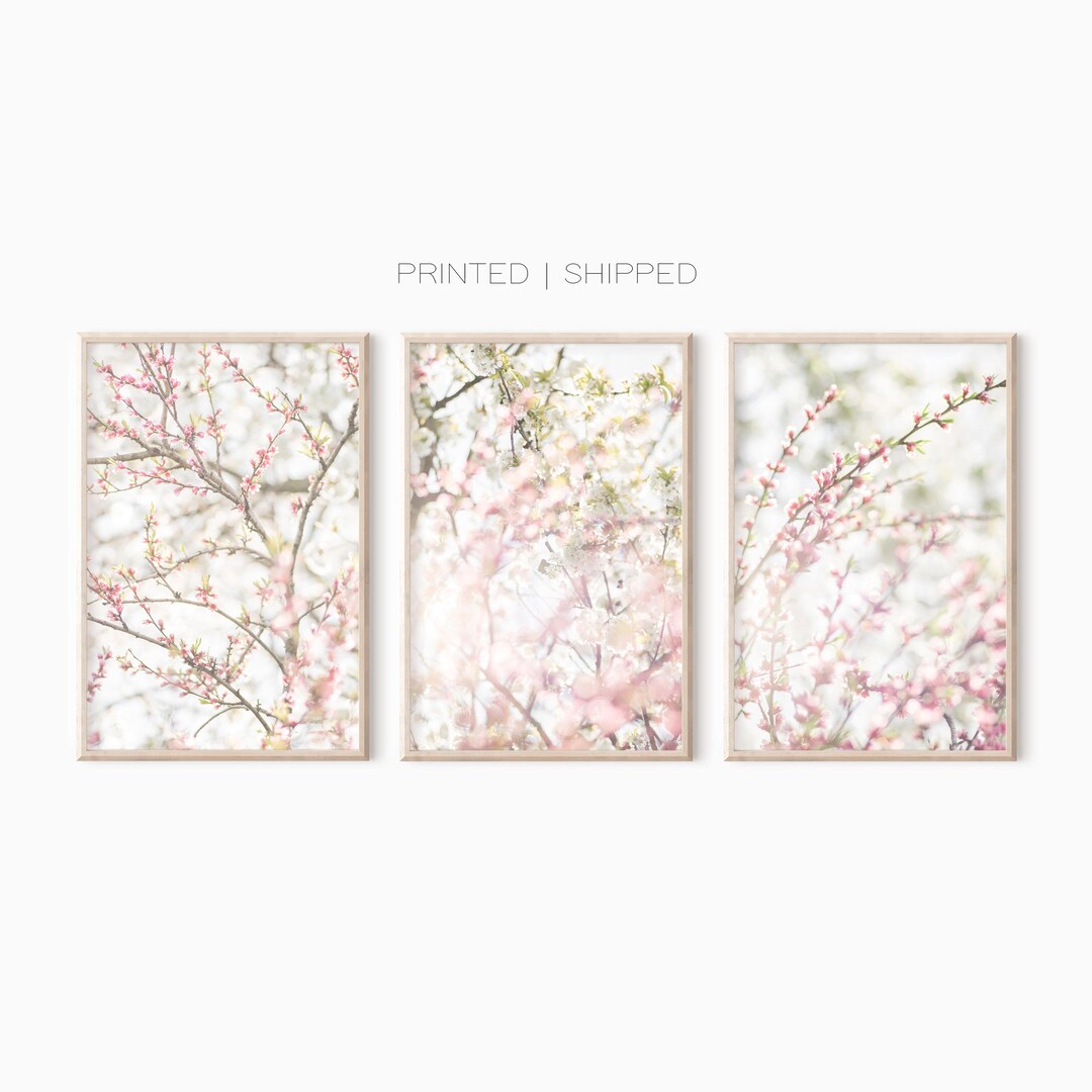 Cherry Blossom Wall Art | Set of 3 Prints | Printed and Shipped Posters ...