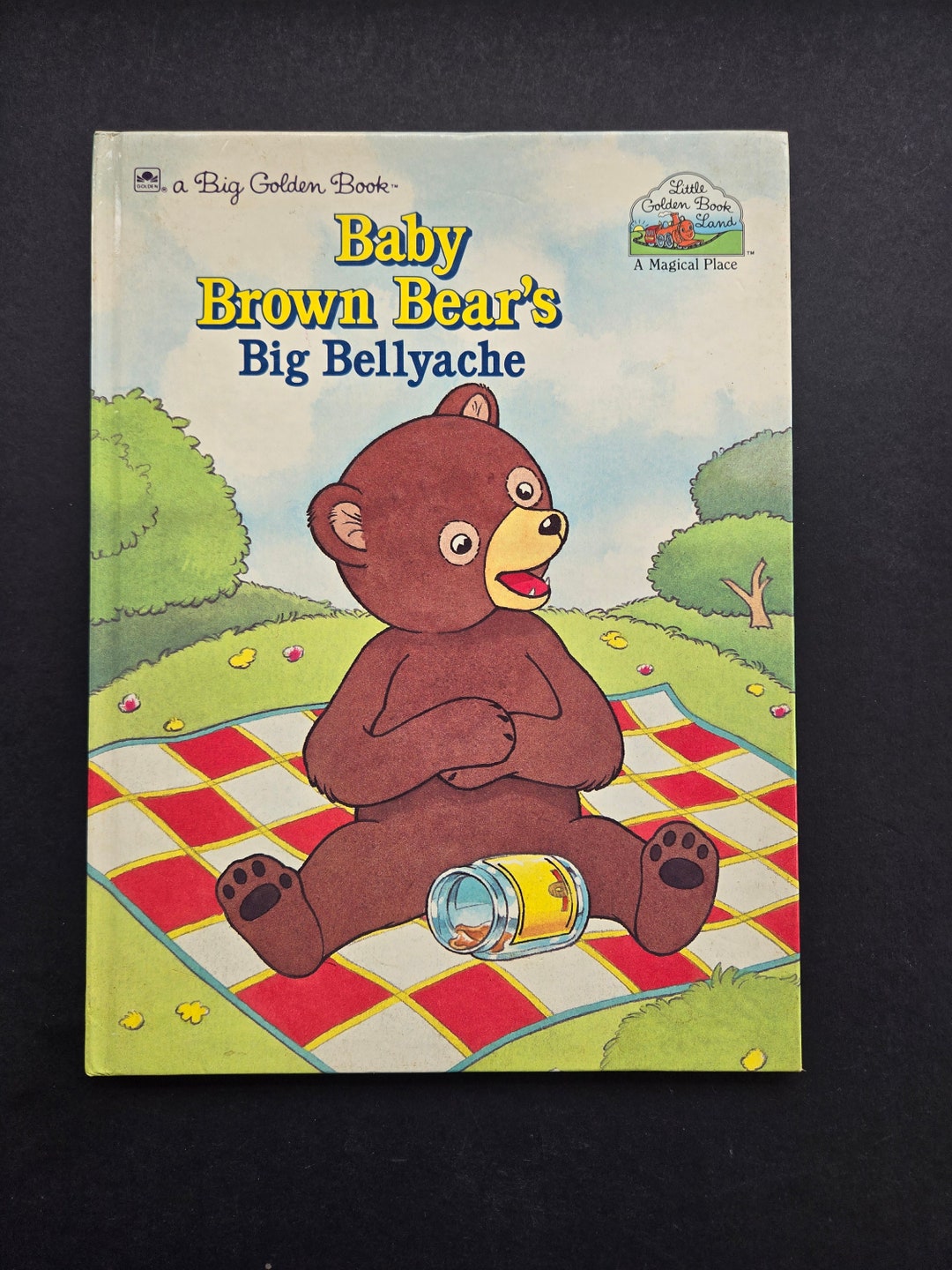 Baby Brown Bear's Big Bellyache - A Big Golden Book 1989 - Etsy