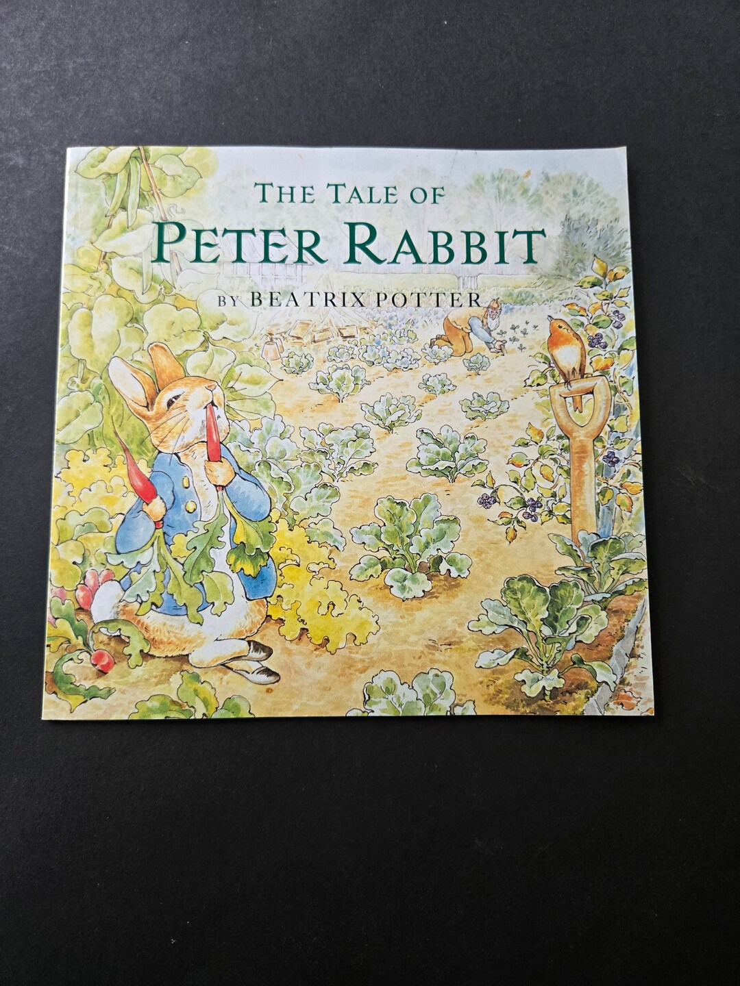The Tale of Peter Rabbit by Beatrix Potter - 2004 Edition - Etsy