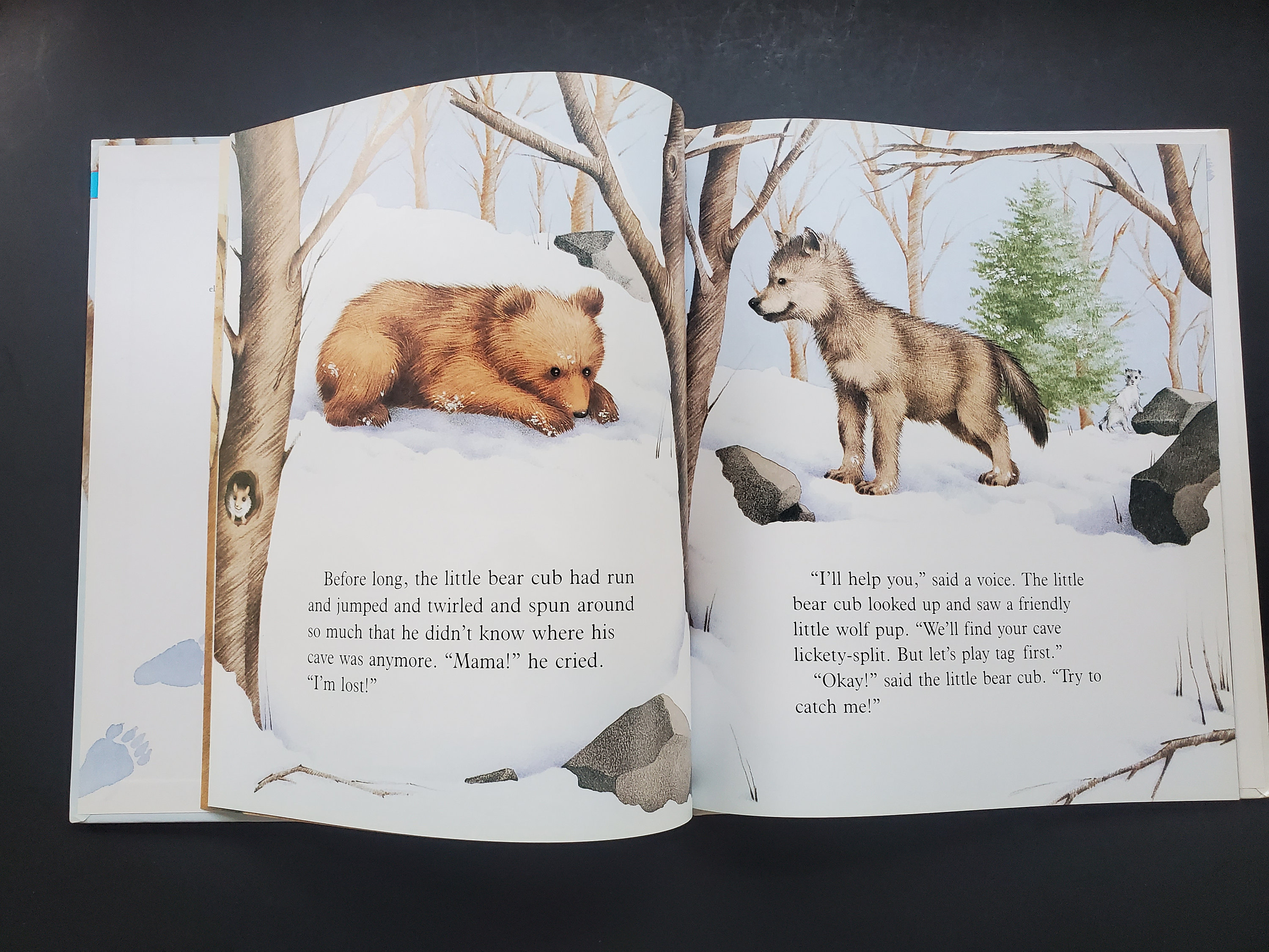 Little Bear's New Friend Little Animal Adventures From - Etsy