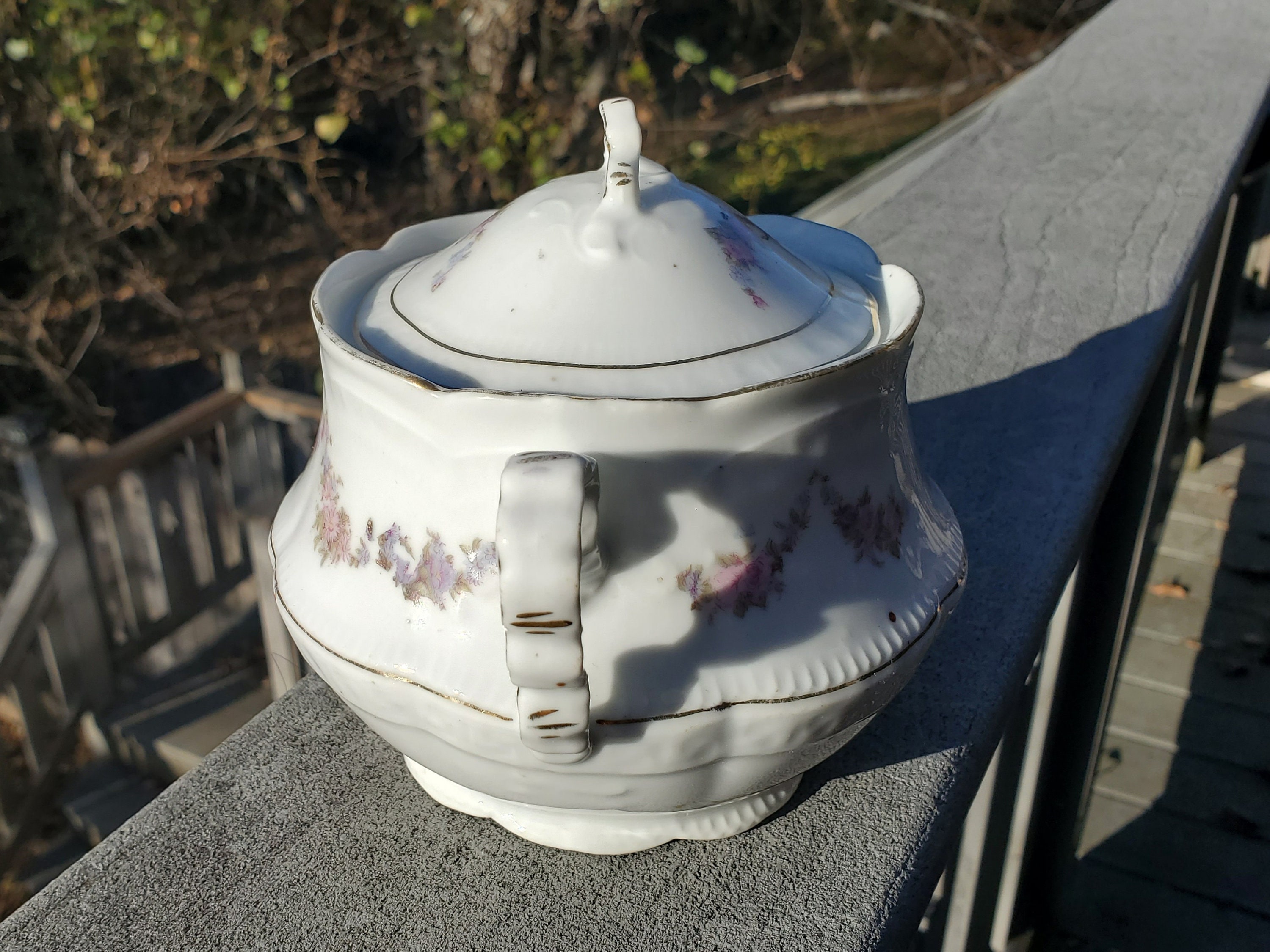 Antique ZS & Co. (scherzer) Covered Porcelain Serving Dish - Crafted in ...