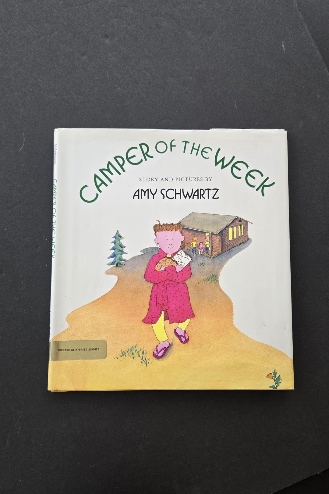 Camper of the Week by Amy Schwartz - 1991 - Etsy