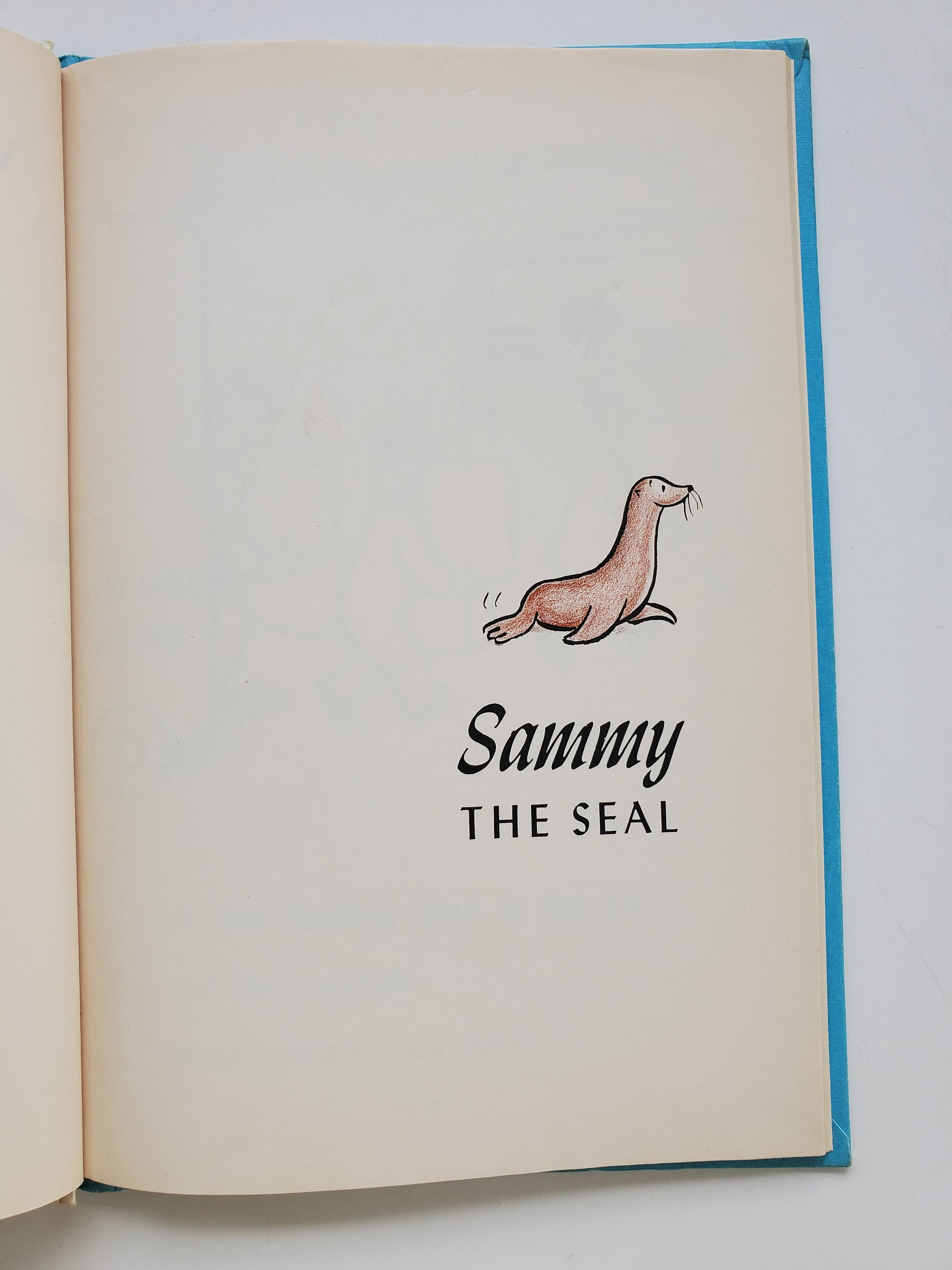 Sammy the Seal by Syd Hiff 1959 1st Edition - Etsy