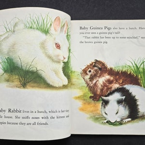 Little Golden Book Baby Farm Animals by Garth Williams 1958 - Etsy