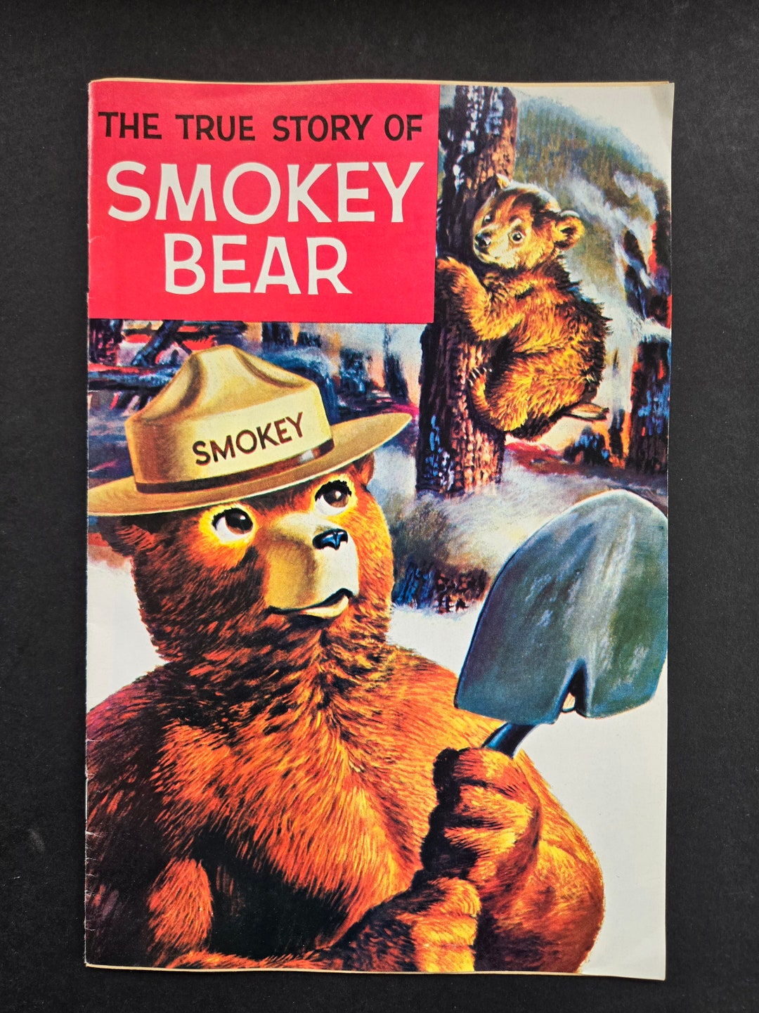 The True Story of Smokey Bear - 1989 Comic Book From the U.S. Forest ...