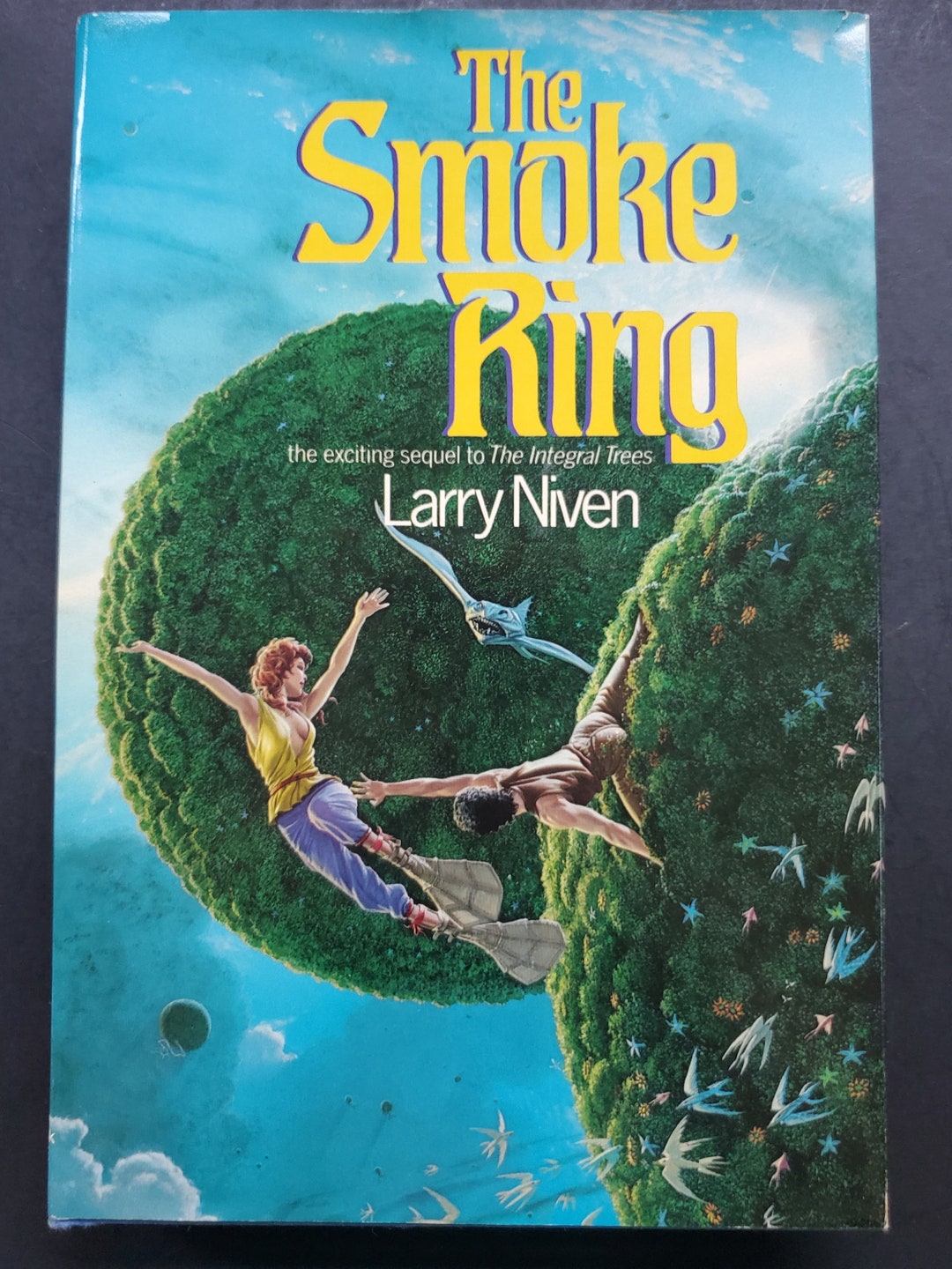 The Smoke Ring by Larry Niven 1987 - Etsy