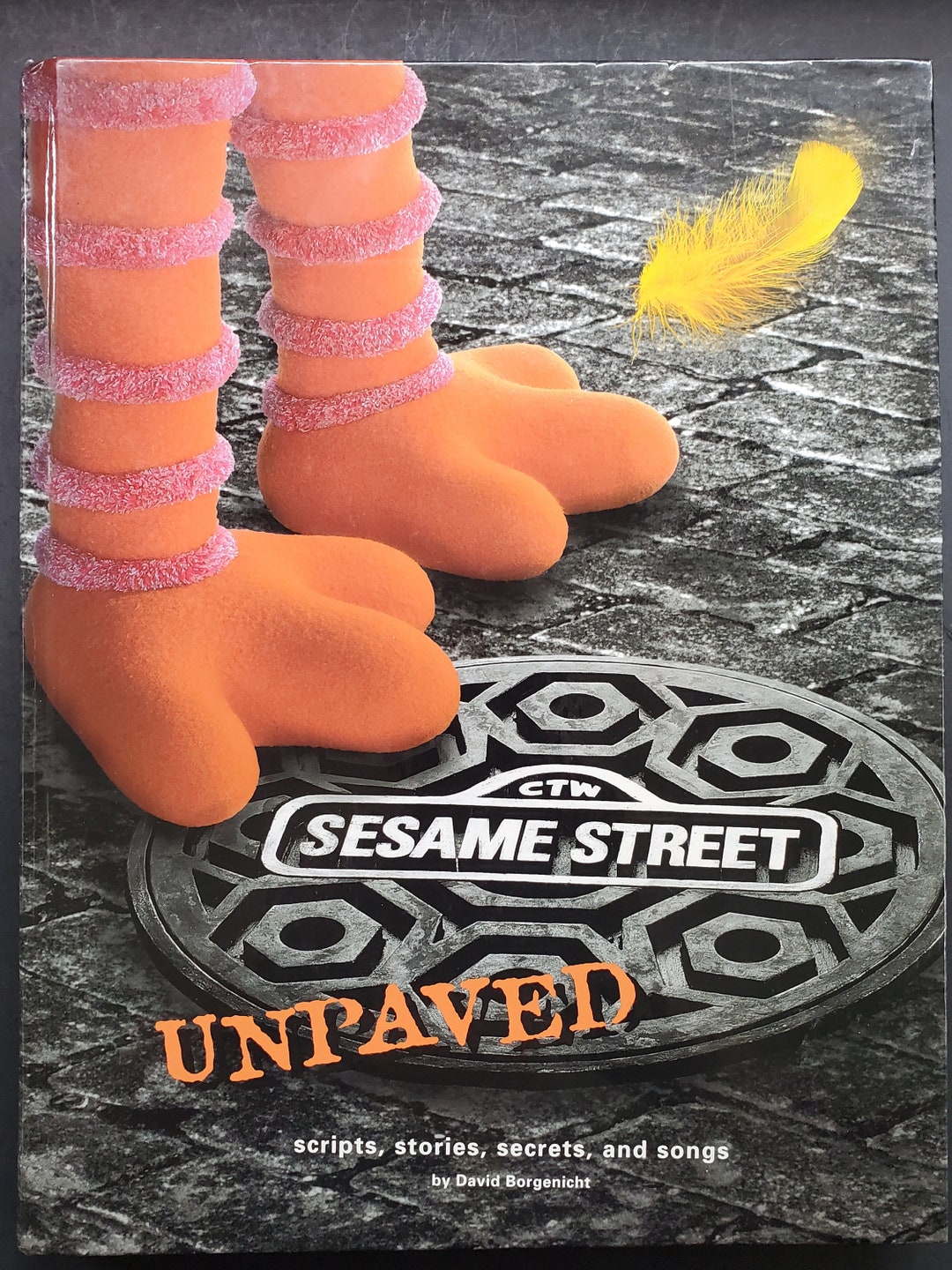 Sesame Street Unpaved by David Borgenicht - 1998 - Etsy