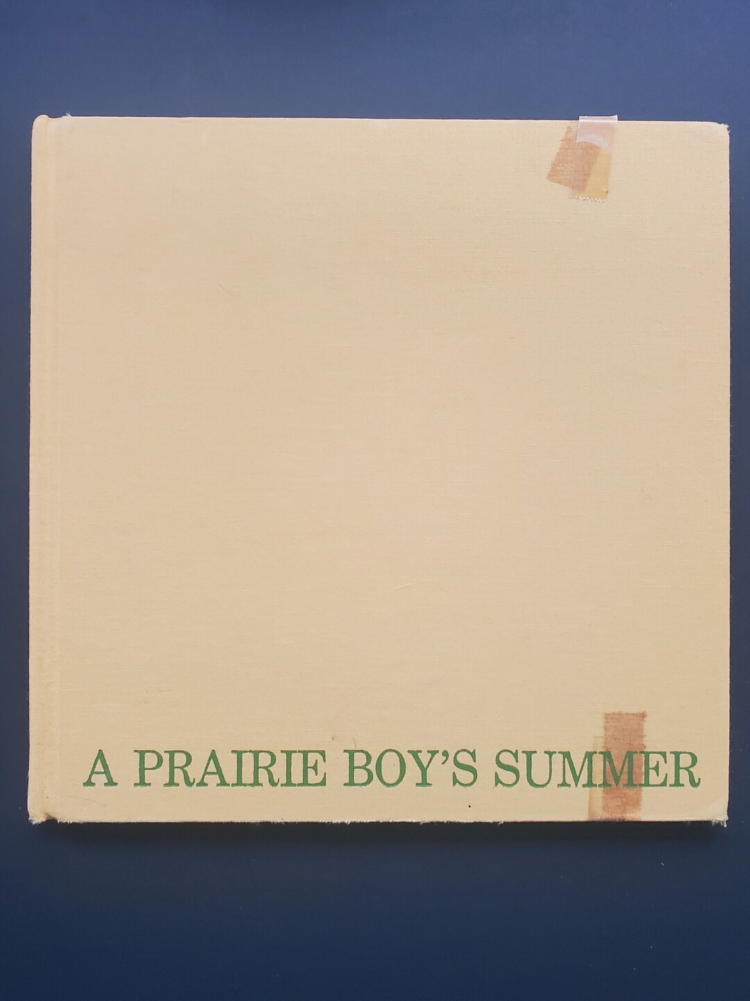 A Prairie Boy's Summer - Paintings and Story by William Kurelek - 1975 ...