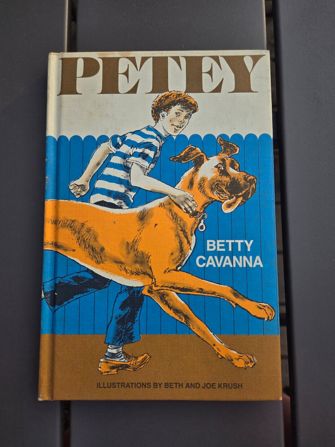 Petey by Betty Cavana - 1973 Weekly Reader Book - Etsy