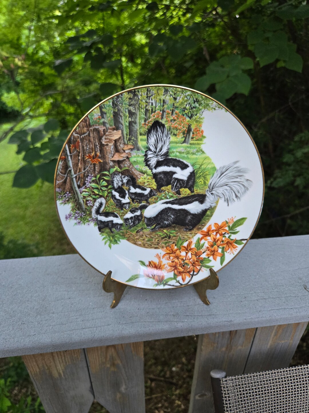 Vintage Striped Skunk Collectible Plate From Southern Living Gallery ...