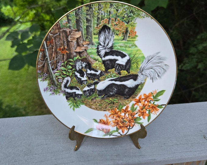 Vintage Striped Skunk Collectible Plate From Southern Living Gallery ...