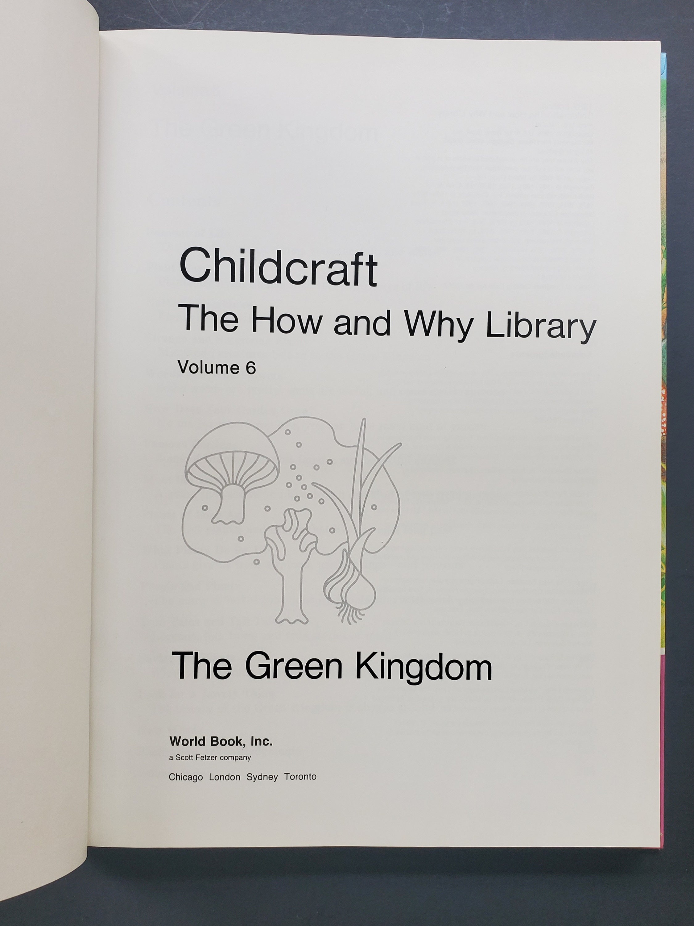 1987 the Childcraft Encyclopedia How and Why Library Volume 6 - Etsy