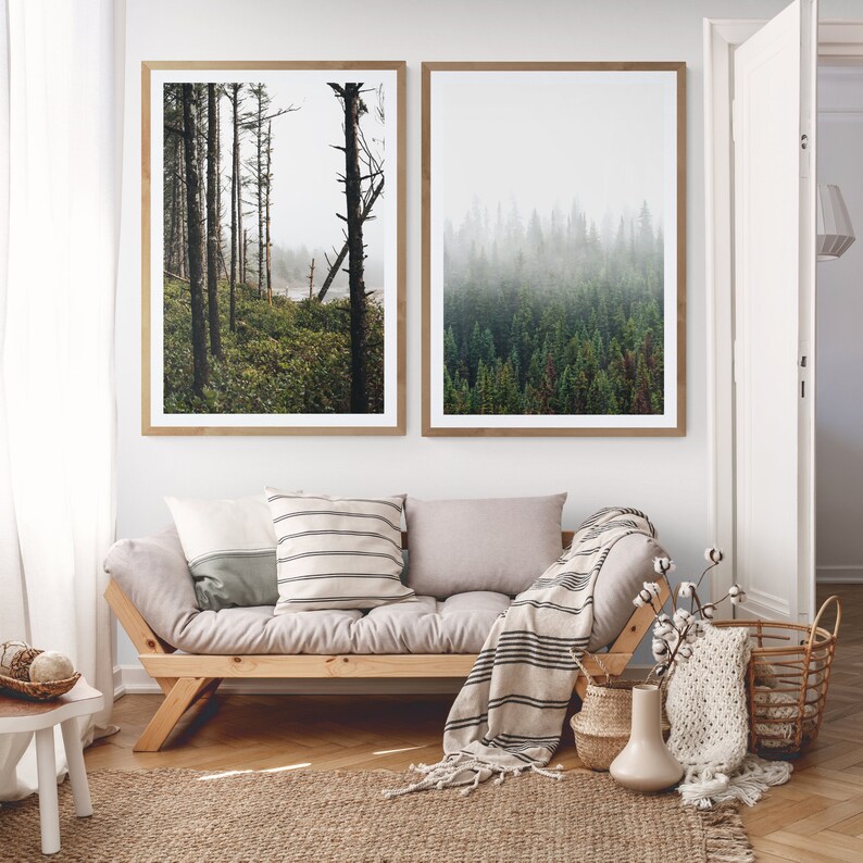 Rainforest Trail Tofino Print | Pacific Rim National Park, British ...