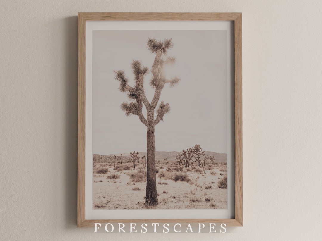 Scandi Joshua Baum Poster | DIGITALER DOWNLOAD Druck | Kalifornien ...