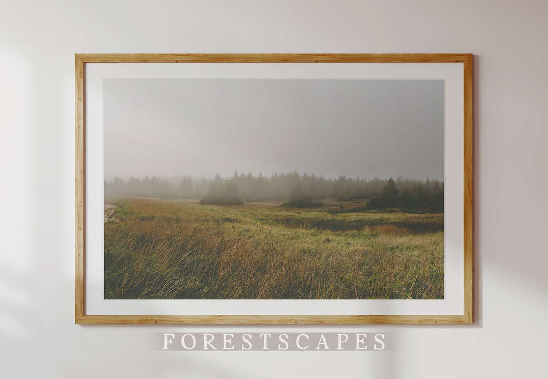PNW Wildflower Meadow Print | Pacific Northwest Foggy Forestscape ...