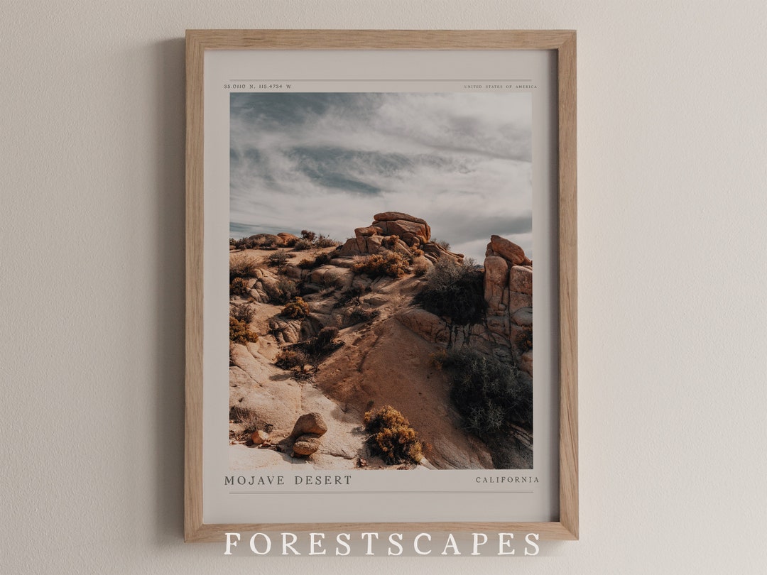 Mojave Desert Poster DIGITAL DOWNLOAD Print California, USA Neutral ...