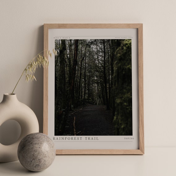 Tofino Rainforest Trail Poster DIGITAL DOWNLOAD PRINT - Etsy