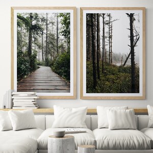 Rainforest Trail Tofino Print | Pacific Rim National Park, British ...