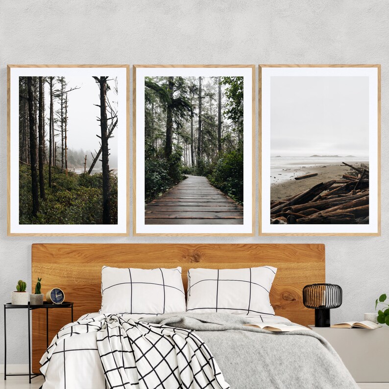 Rainforest Trail Tofino Print | Pacific Rim National Park, British ...