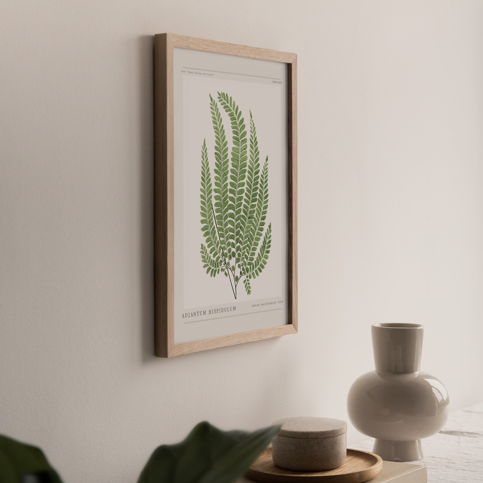 Vintage Fern Poster 01 Botanical Illustration Wall Art DIGITAL DOWNLOAD ...
