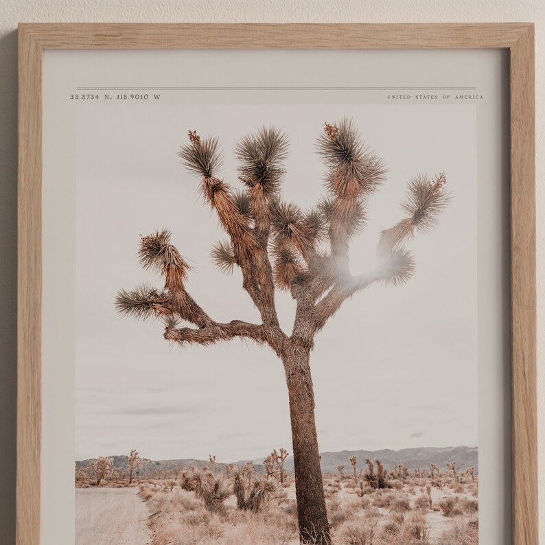 Joshua Tree National Park Poster | California Desert Print (digital ...
