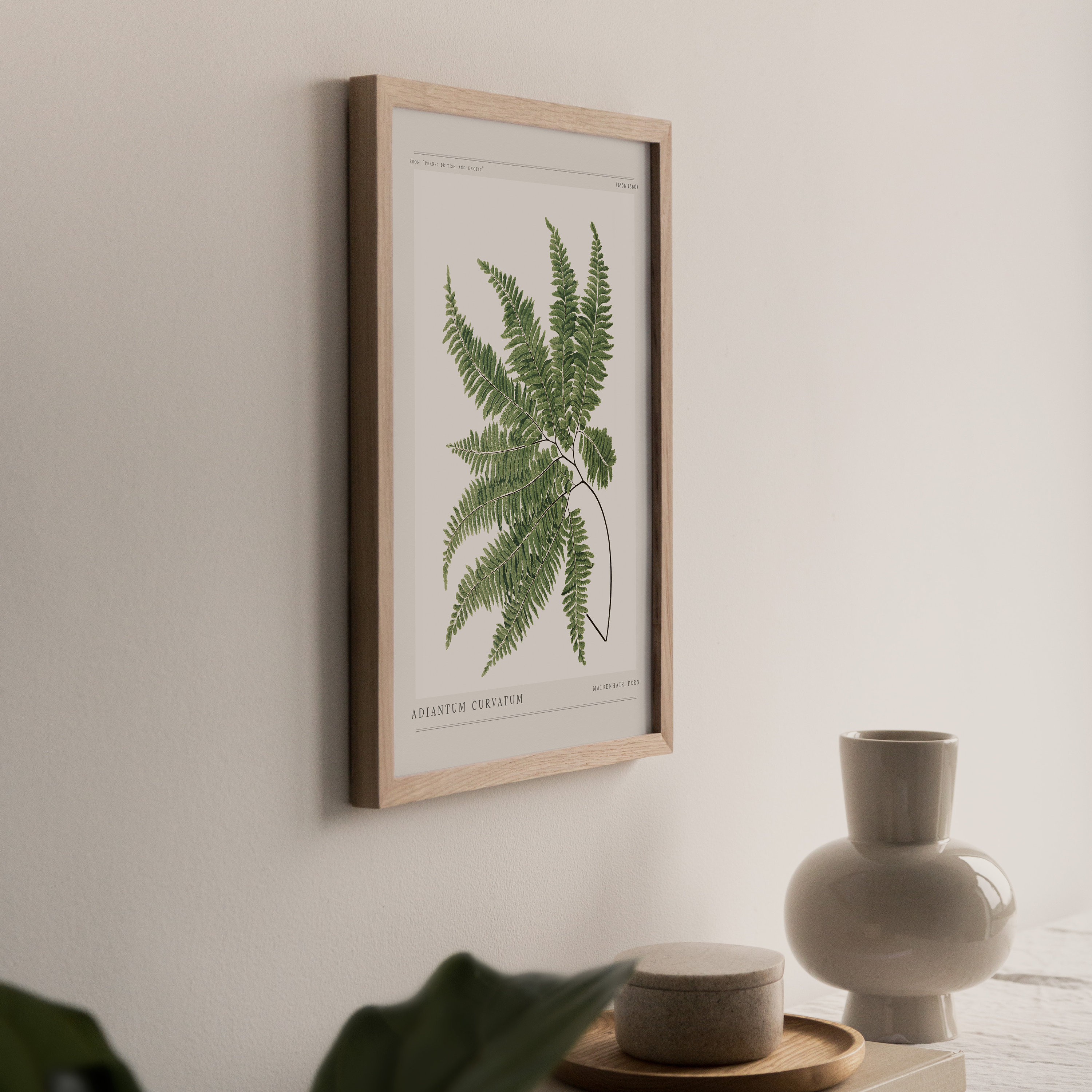 Vintage Fern Poster 12 Botanical Illustration Wall Art - Etsy