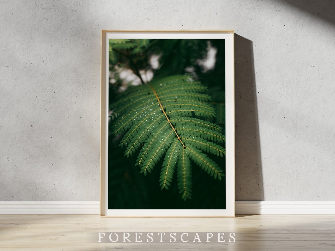 Rainforest Botanical Art Print | Pacific Northwest Fern Wall Decor ...
