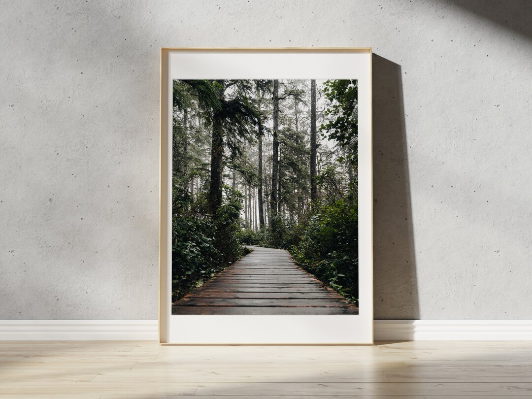 Rainforest Trail Tofino Print | Pacific Rim National Park, British ...