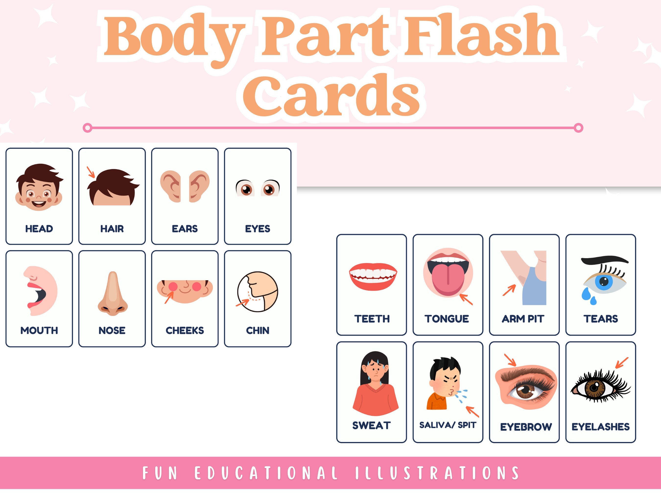 24 Body Parts Flashcards, Preschool Flashcards, Educational Printable ...