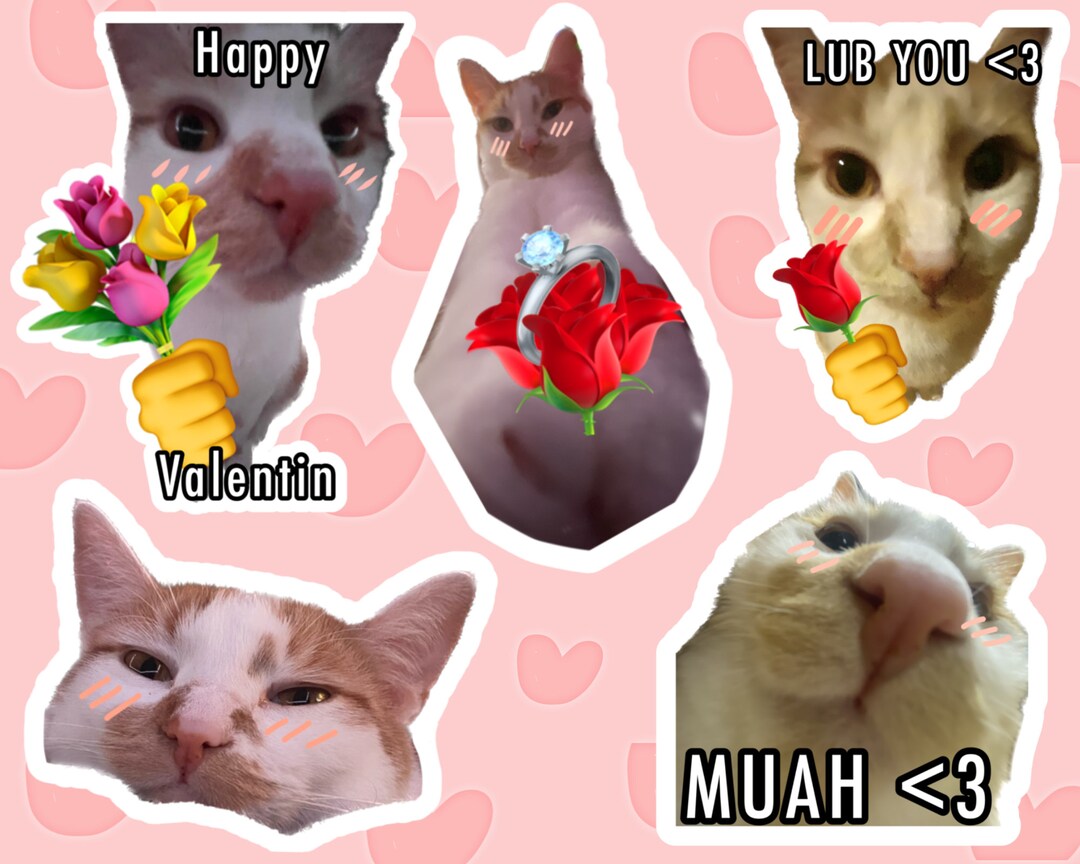Cute Valentines Cat Stickers Set Cat Memes Gifts Under 5 Funny Cats ...
