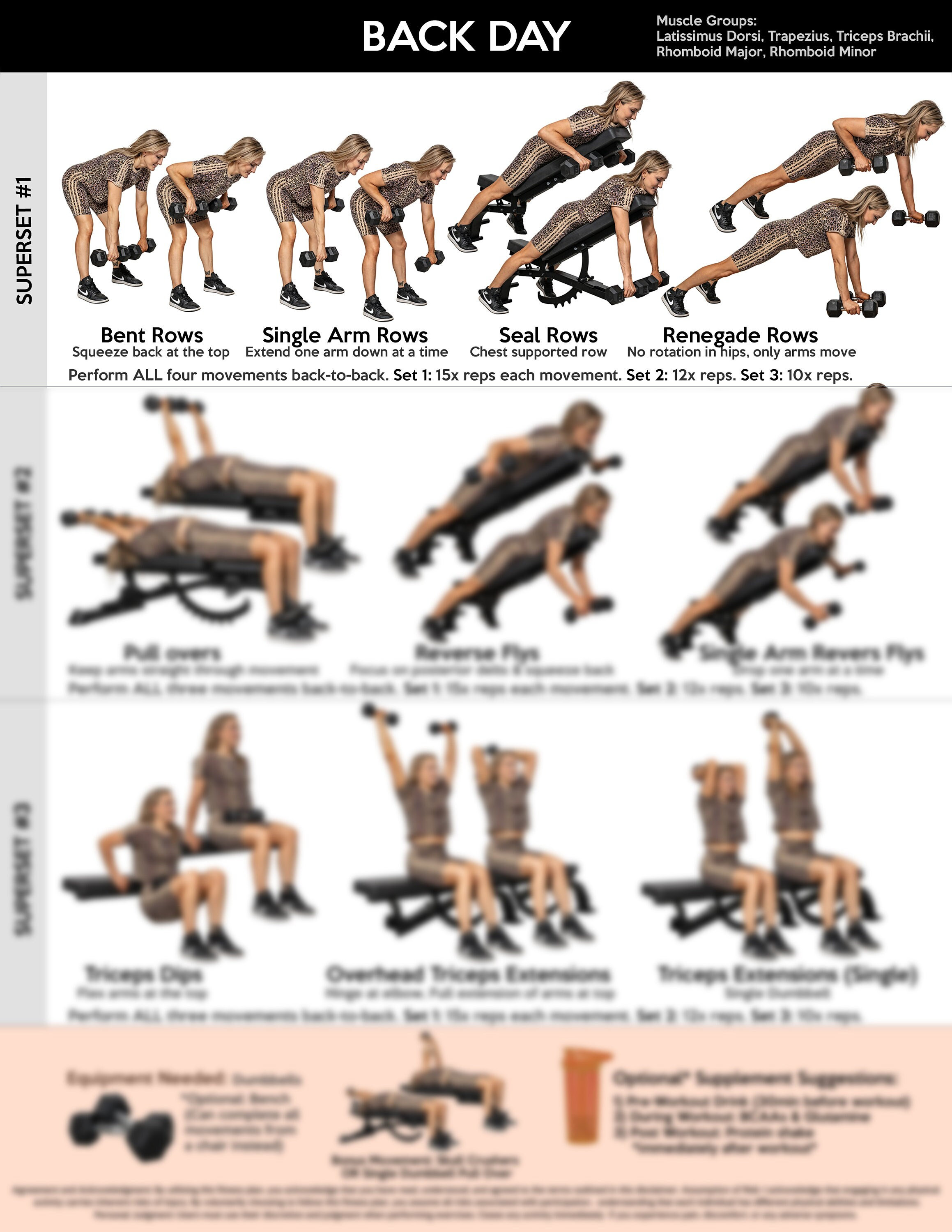 Back Day - Hypertrophy Training - Etsy