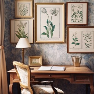 Antique White Botanical Prints, Cottage Style Wall Art (digital ...