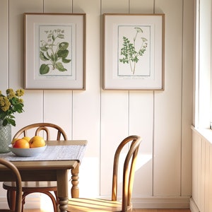 Antique White Botanical Prints, Cottage Style Wall Art (digital ...