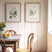 Antique White Botanical Prints, Cottage Style Wall Art (digital ...