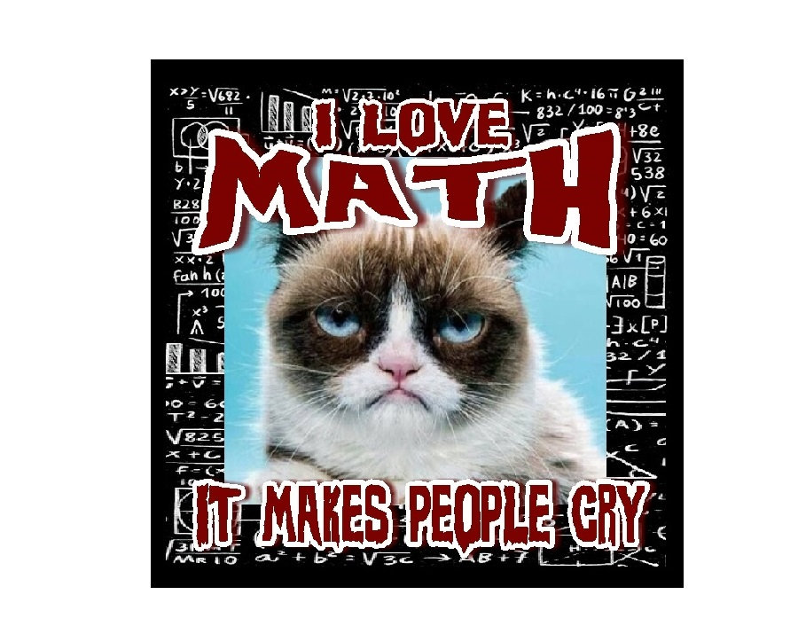 Grumpy Cat Wedding Meme