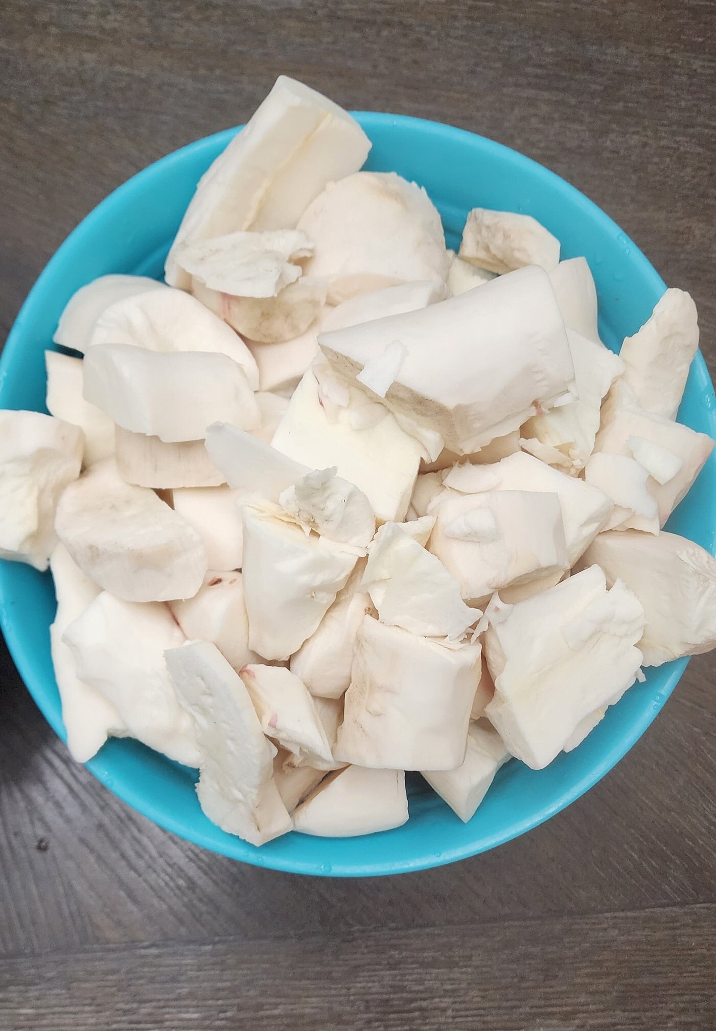 Cassava Cuttings Cassava Stems Yucca Ege Tapioca - Etsy